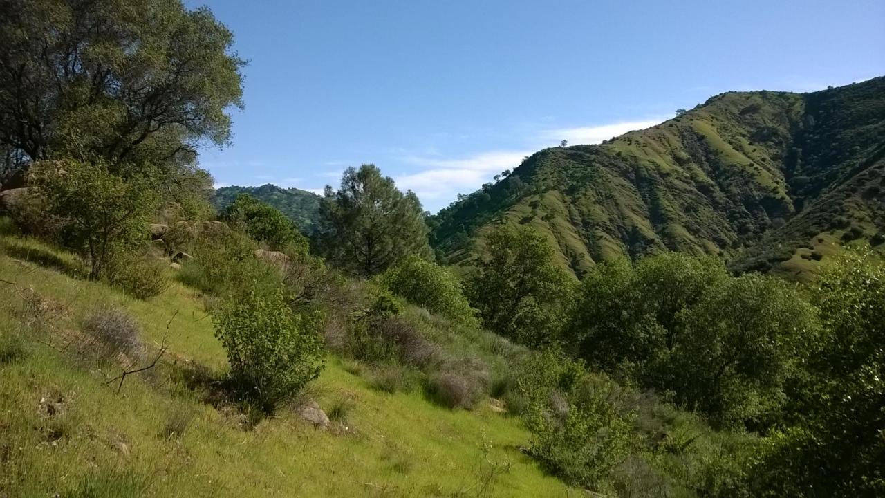 UC Davis Natural Reserves | UC Davis Institute of the Environment